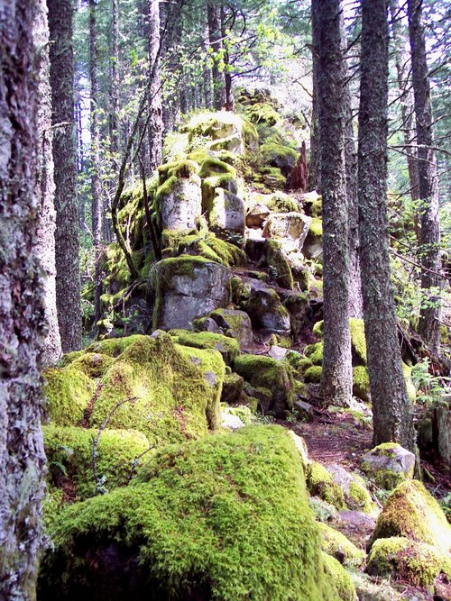 Ruckel Ridge : Climbing, Hiking & Mountaineering : SummitPost