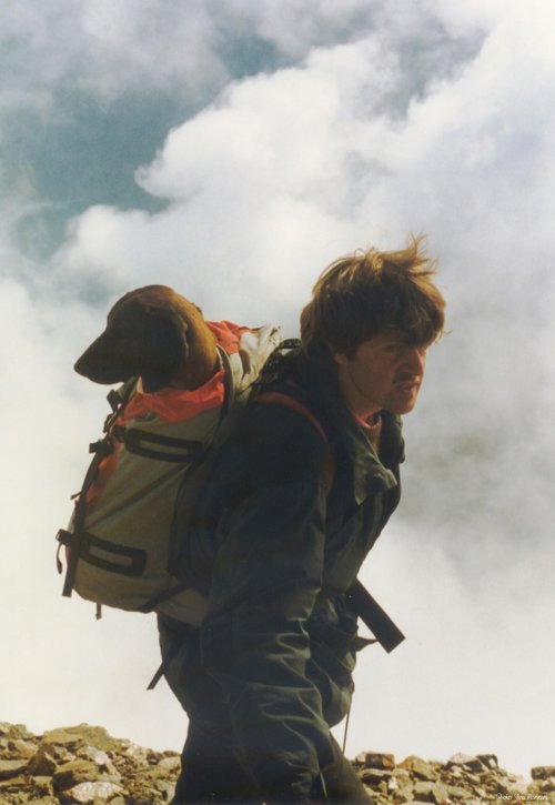 Hochwilde (Hohe Wilde) / l'Altissima : Climbing, Hiking ...